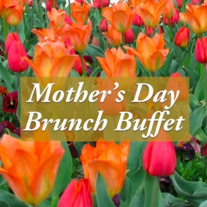 Snowbiking - Powder Ridge Mountain Park & Resort