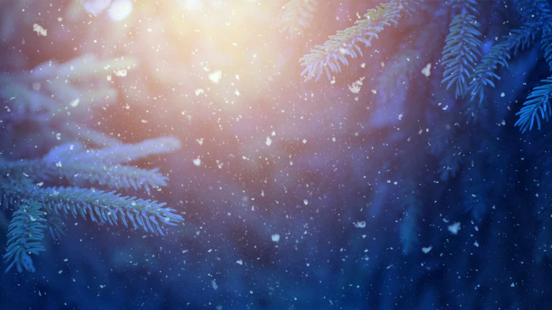 Winterfest - Powder Ridge Mountain Park & Resort